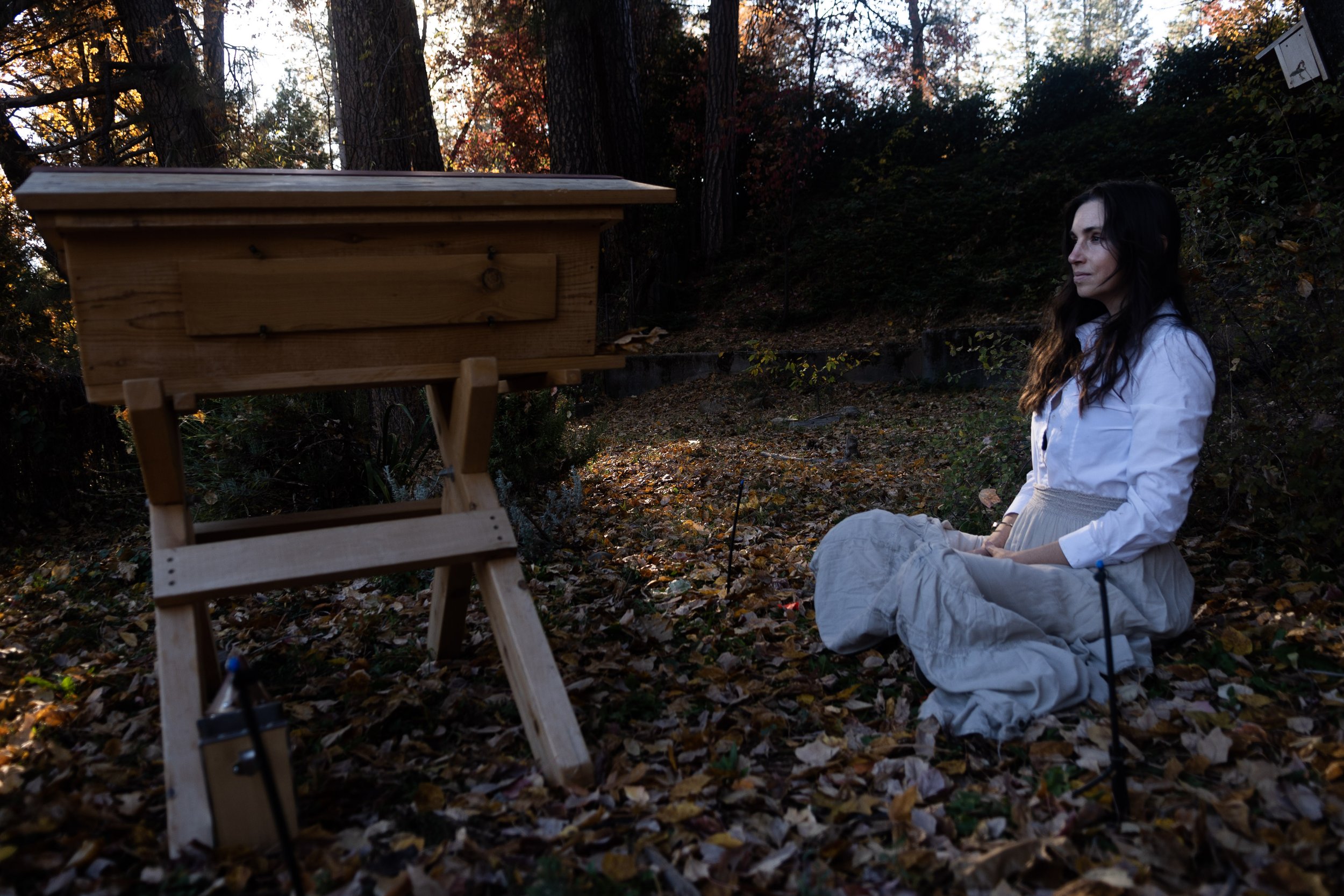 Bee Shamanism: The Death of the Myth of Lineage | Beekeeping in Skirts